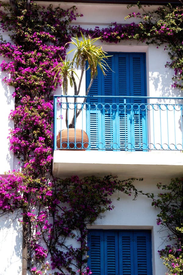 Flower house stock photo. Image of building, lawn, decoration - 49860914