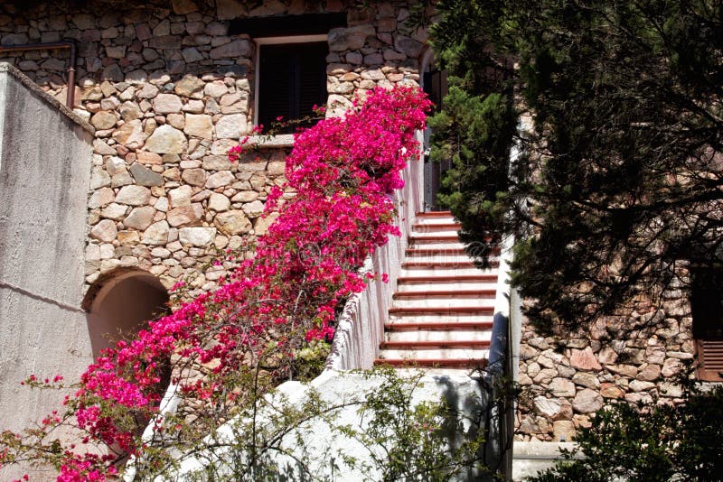 Flower house stock photo. Image of landmark, pottery - 50245196