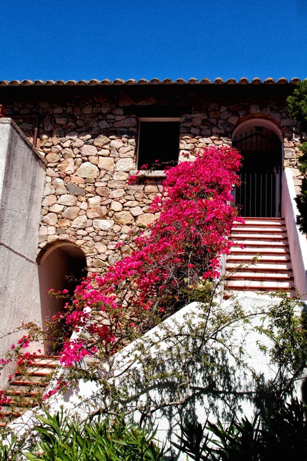 Flower house stock photo. Image of lawn, holiday, bouquet - 52497852