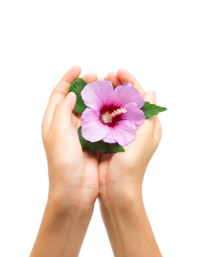 Flower in human hands stock image. Image of finger, design - 6859029