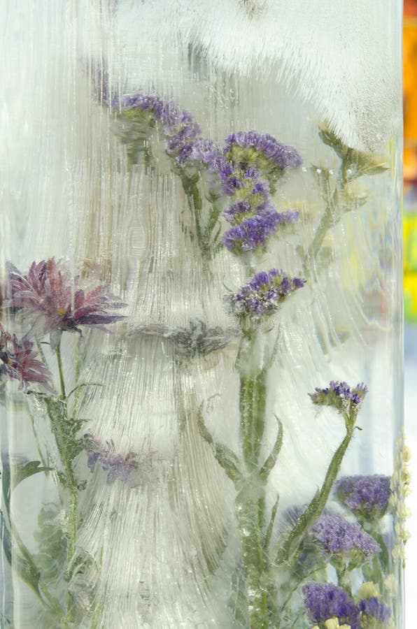 The flower in ice stock photo. Image of stalk, cold - 111457020