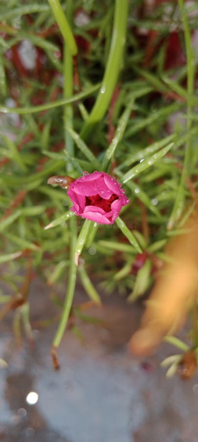 Fvrt Color Stock Photos - Free & Royalty-Free Stock Photos from Dreamstime