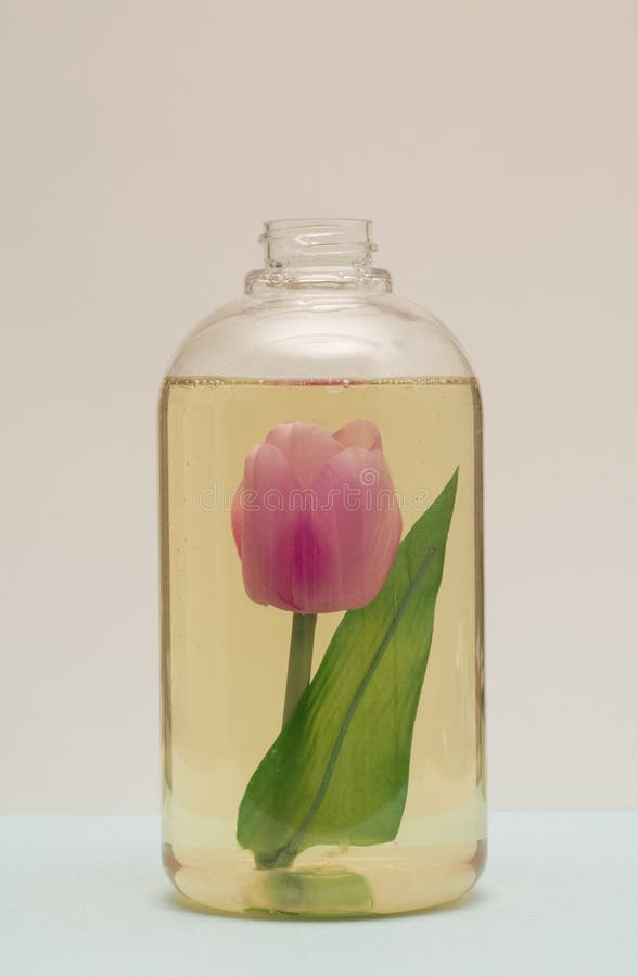 Flower Inside a Bottle of Liquid Soap Stock Image - Image of still ...