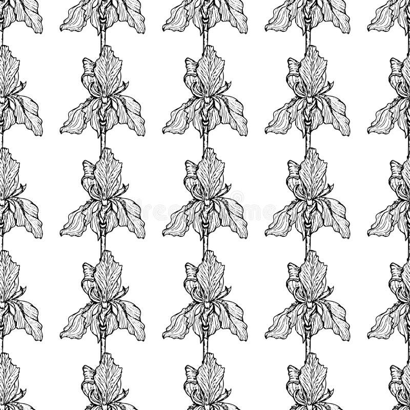 Flower Iris Pattern Black Vertical Stock Vector - Illustration of ...