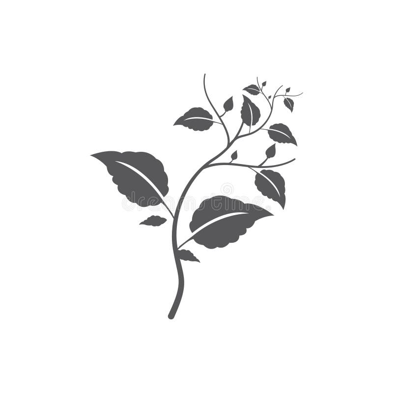 Flower Leaf Icon Design Natural Vector Illustration Stock Vector ...