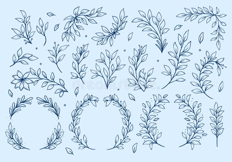 Flower Leaf Leaves Vector Outline Set Collection Rustic Hand Drawing ...