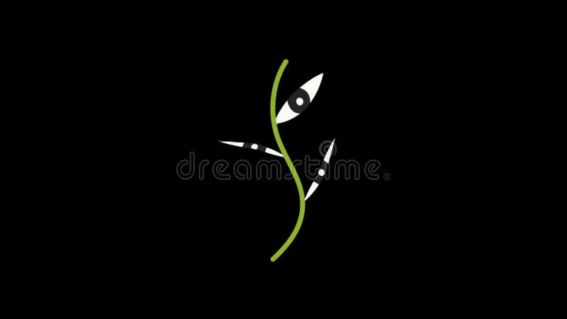 Flower Leaf Loop Animation Video Transparent Background with Alpha ...