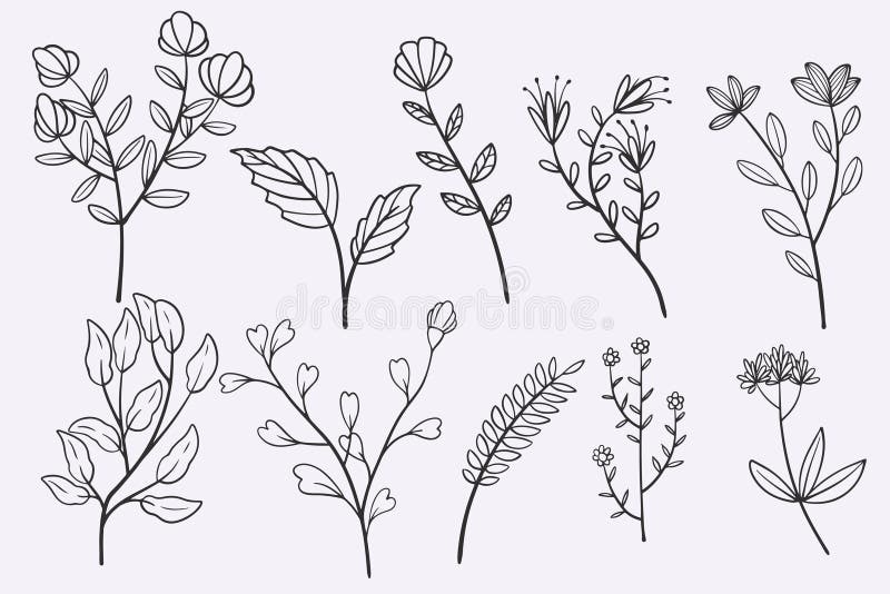 Flower Leaves Doodle Hand Drawn Vector Illustration Set Stock