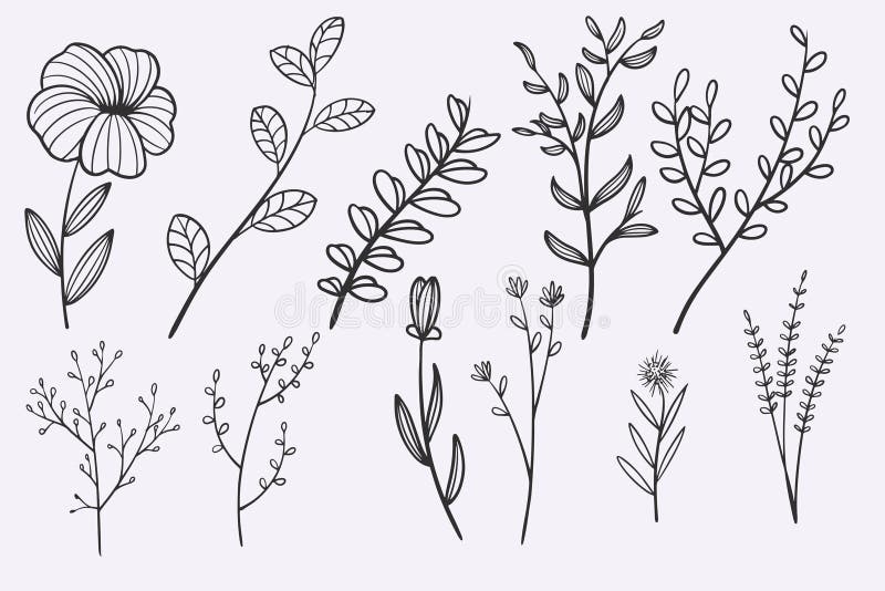 Flower Leaves Doodle Hand Drawn Vector Illustration Set Stock