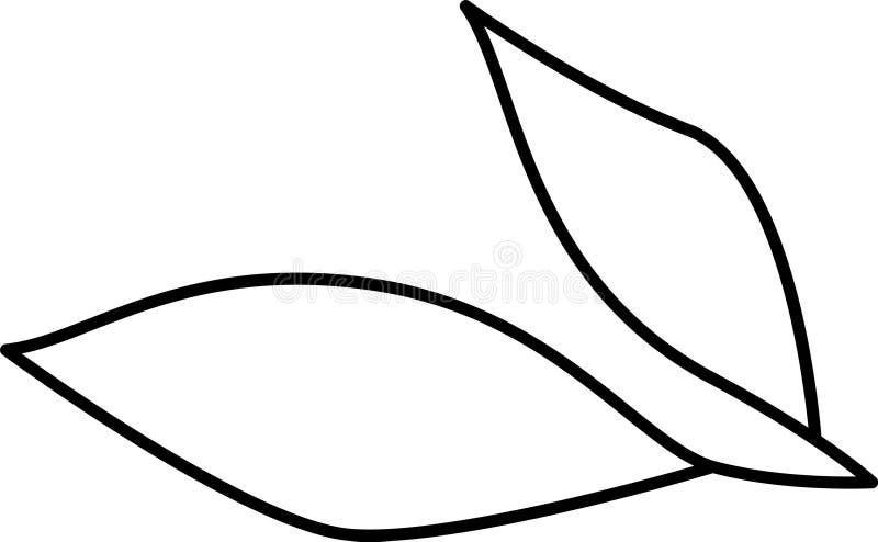 Flower Leaves Outline stock vector. Illustration of sketch - 303259275