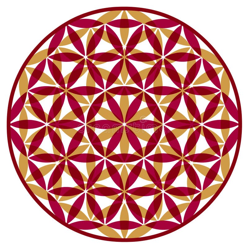 Flower of Life Design Abstract Stock Vector - Illustration of orient ...
