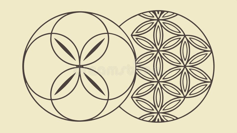 Flower of Life Geometric Pattern, Simple Outline Design Vector Design ...