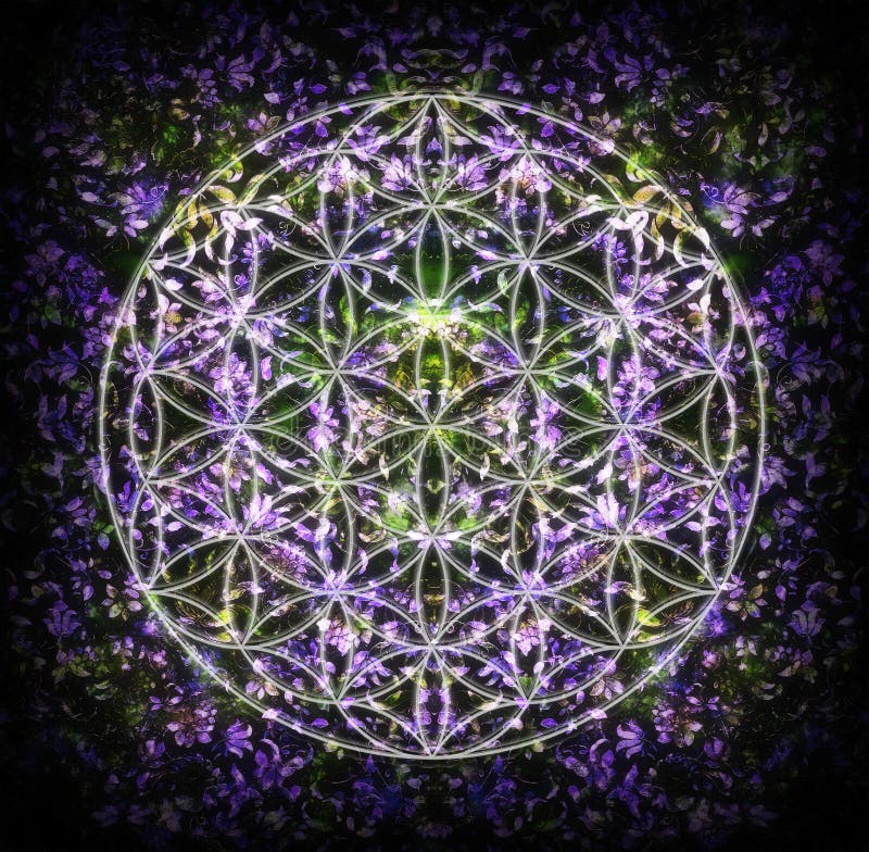 Flower of Life and Ornamental Structure. Sacred Geometry Stock ...