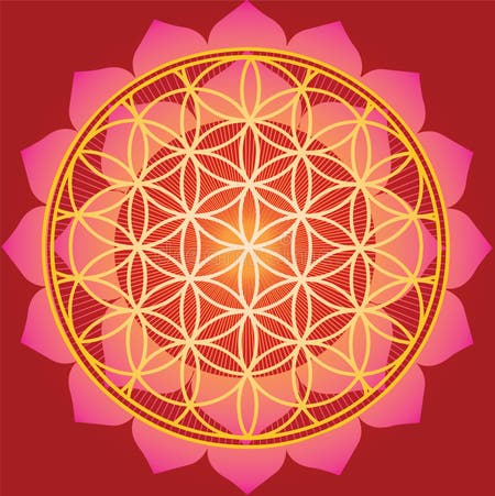 Flower of Life in Red Lotus Stock Vector - Illustration of astrological ...