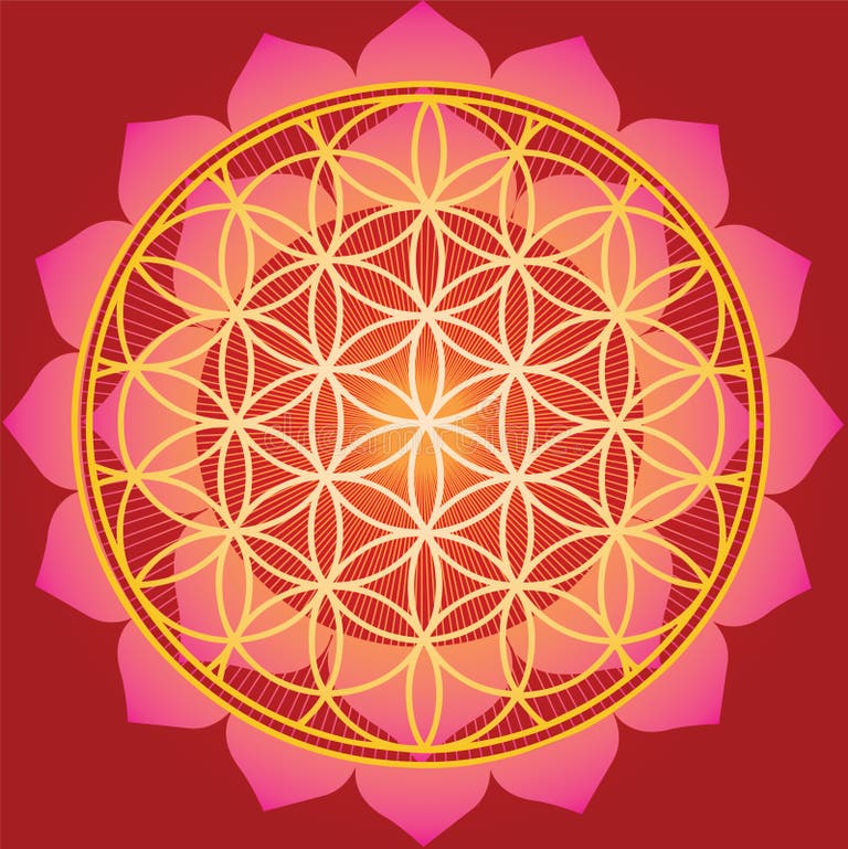 Flower of Life in Red Lotus Stock Vector - Illustration of astrological ...