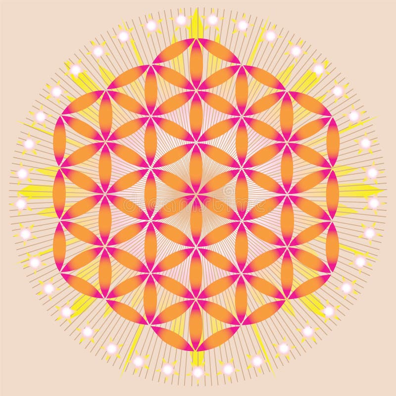 Flower of Life in Red Lotus Stock Vector - Illustration of astrological ...