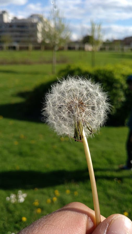 Lifeshort Stock Photos - Free & Royalty-Free Stock Photos from Dreamstime