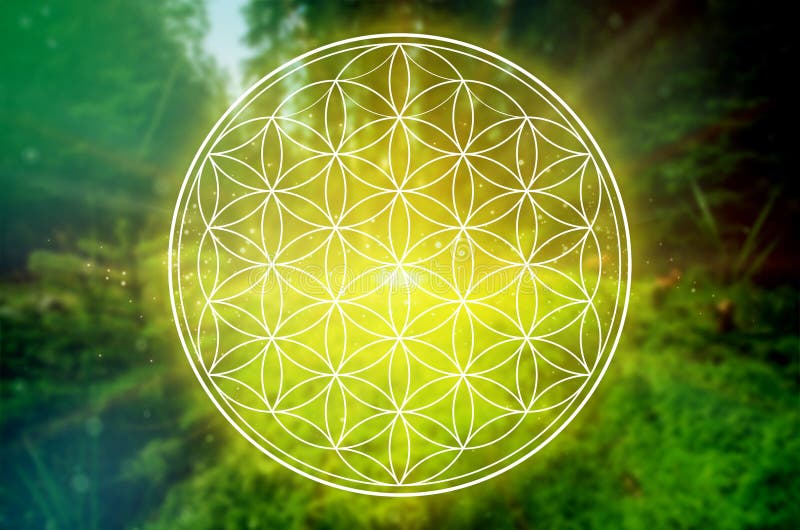 Flower of Life Symbol stock illustration. Illustration of balance ...