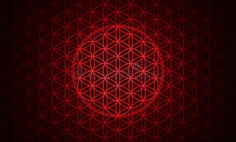 Flower of Life stock image. Image of flower, petals, spiritualism ...