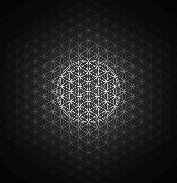 The Flower of Life Symbol Silver Stock Illustration - Illustration of ...