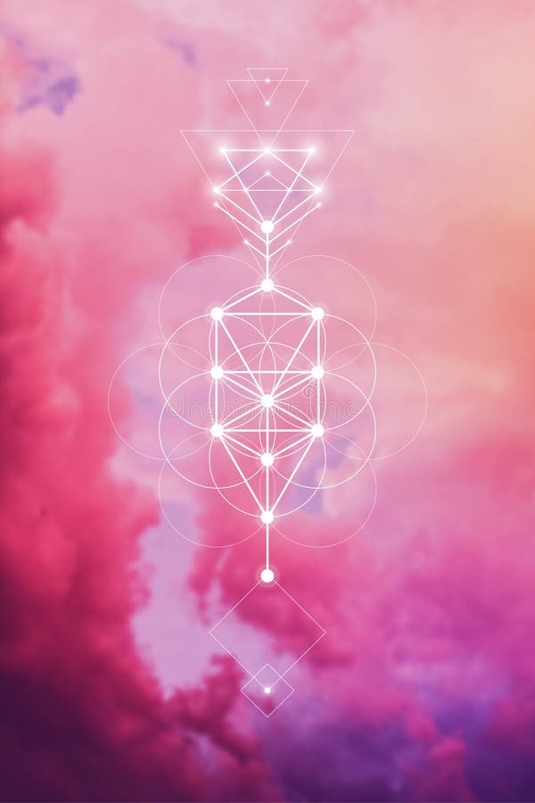 Flower of Life. Tree of Life Stock Vector - Illustration of eternal ...