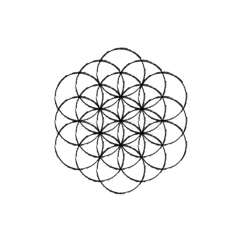 Flower of Life Vector.Line Sketch Icon Stock Vector - Illustration of ...