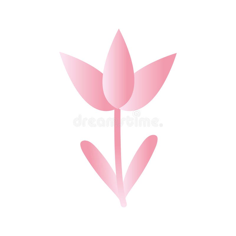 Flower with a Ligth Pink Color Stock Vector - Illustration of ...