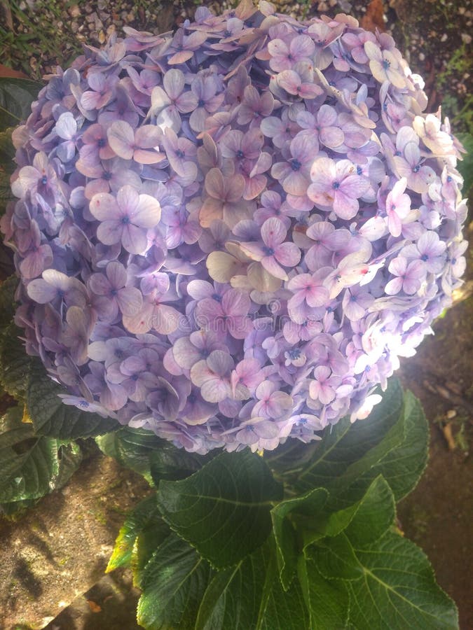 Sun Like a Ball Over the Mountains, Orange Sunset Stock Photo - Image ...