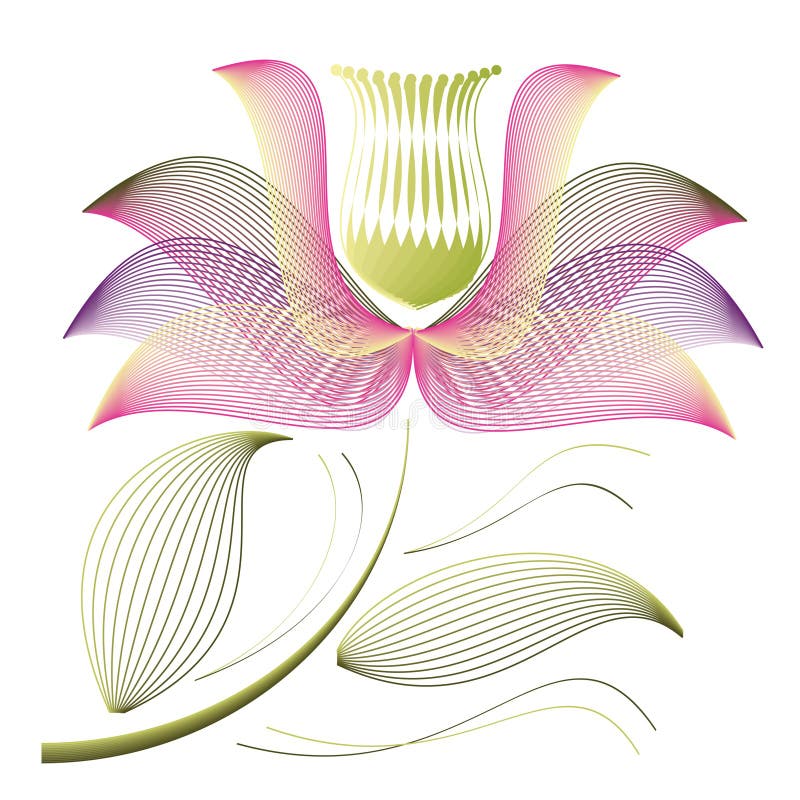 Flower lily stock vector. Illustration of isolated, element - 30923119