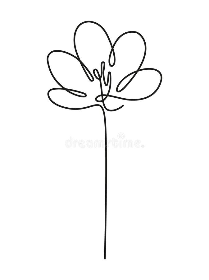 Flower Line Art. Minimalist Outline Pattern. Single Line Design Stock ...