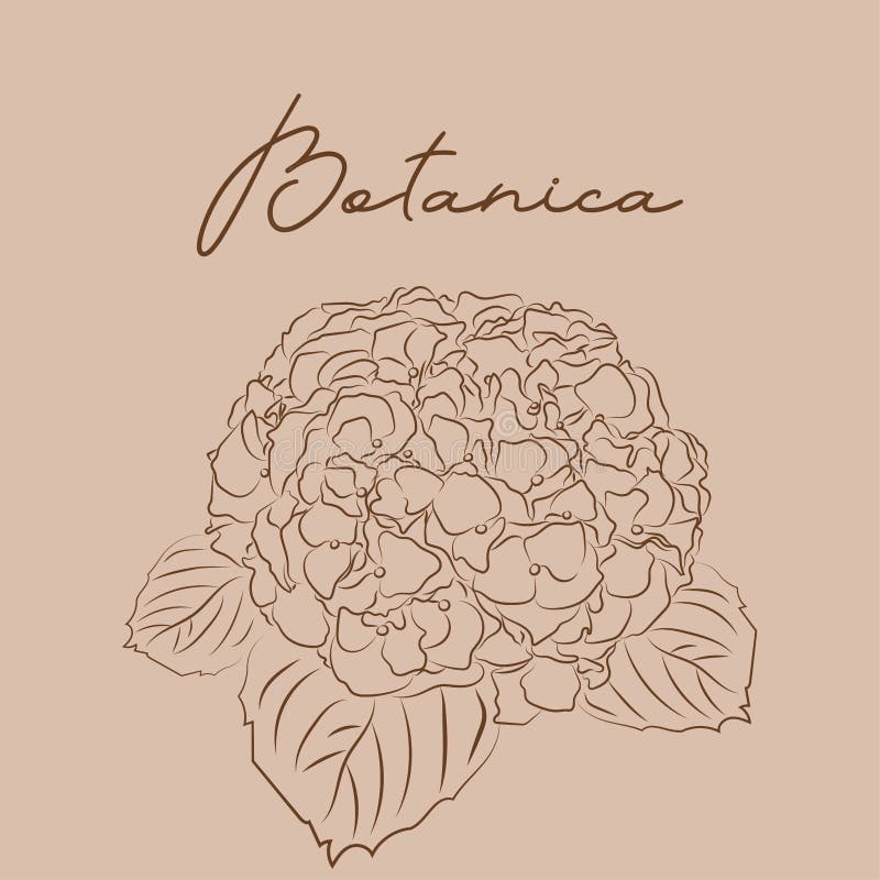 Flower in Line Art Style. Minimalistic Contour Drawing Stock Vector ...