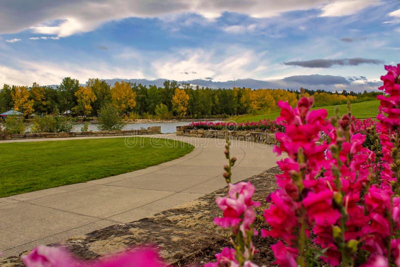Flower Lined Pathway in a Calgary Park Stock Image - Image of scenic ...