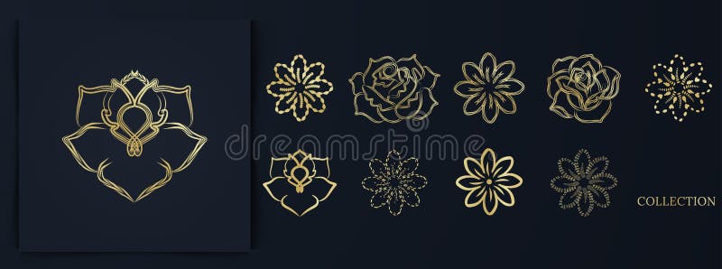 Flower Logo Design Vector Illustration Stock Vector - Illustration of ...