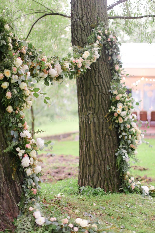 Flower Lovely Arch for Wedding and Trees. Stock Image - Image of ...