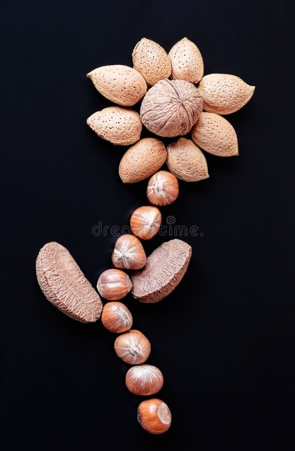 Flower Made of Nuts stock photo. Image of black, almond - 63852600