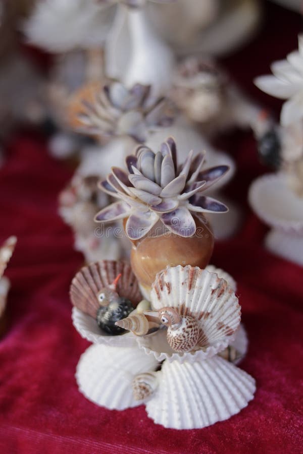 Flower Made of Shells a Wide Variety of Shells and Small Pebbles Stock ...