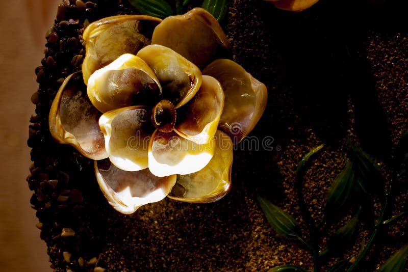 Flower Made of Shells a Wide Variety of Shells and Small Pebbles. Close ...
