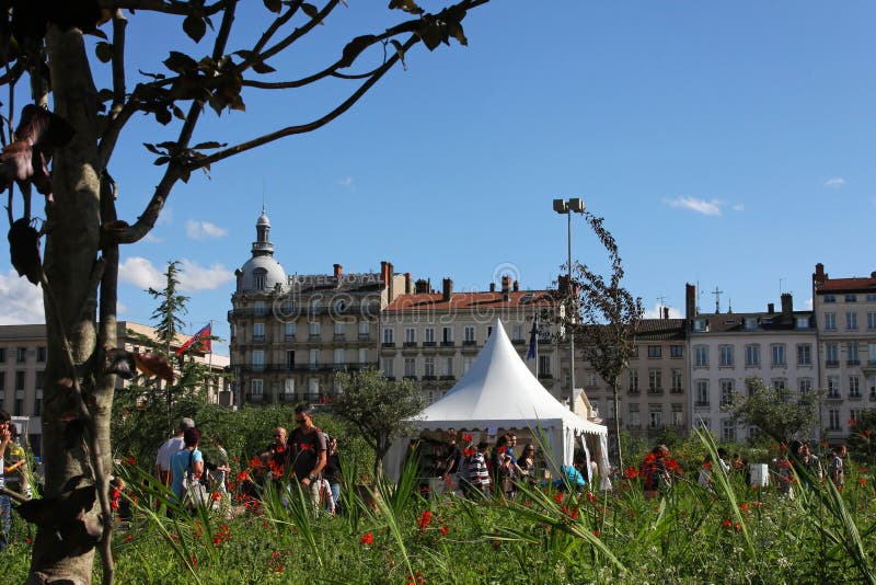 Flower on main place editorial stock photo. Image of people - 19952453