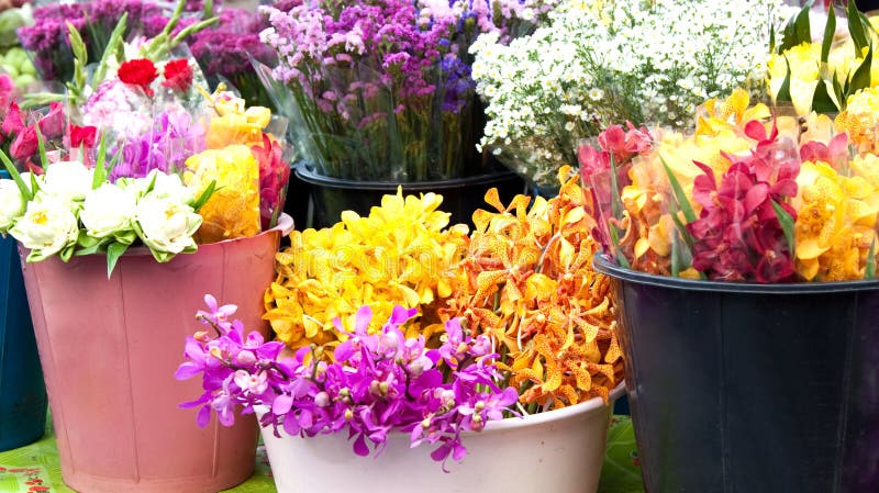 Diversity Flowers stock photo. Image of white, flowers - 5694944