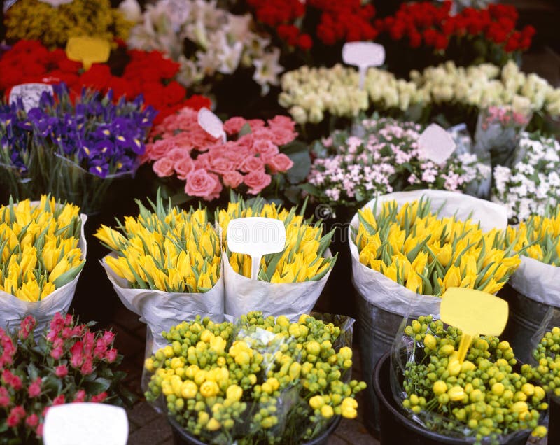 Florist Shop with Colorful Spring Flowers Stock Photo - Image of ...