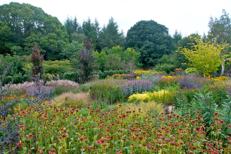 Flower meadow stock image. Image of garden, colour, blue - 11763449