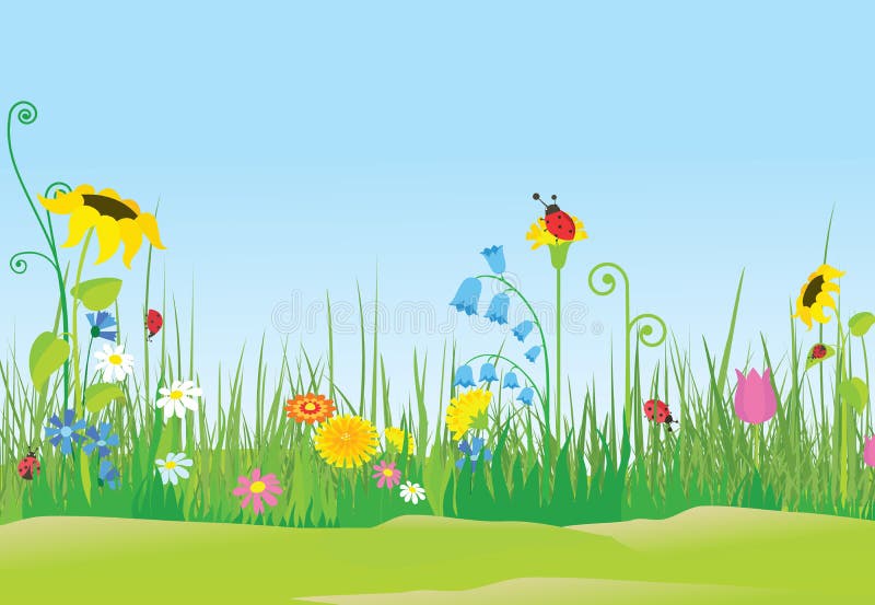 Flower Meadow with Ladybugs Stock Vector - Illustration of growth ...