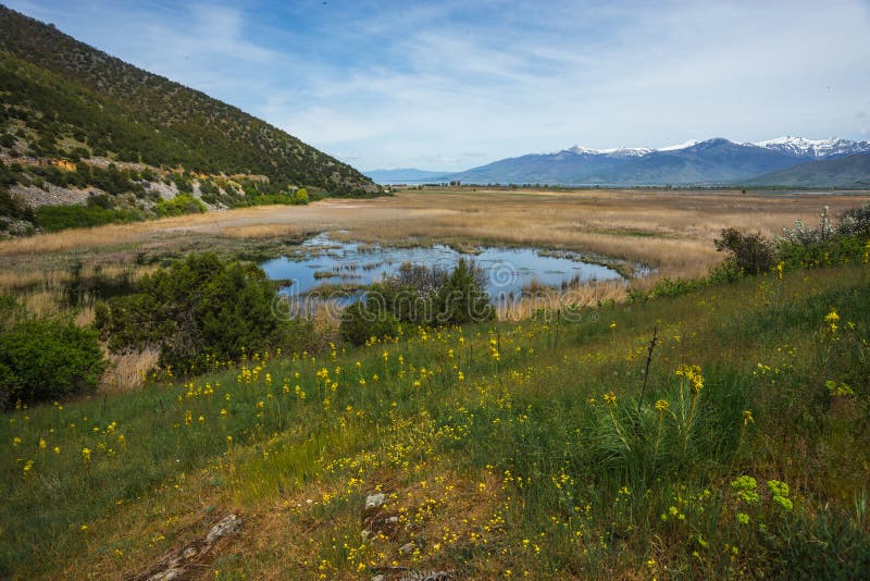 Flower Meadow on Slope of Mountains and Lake Prespa, Greece Stock Photo ...