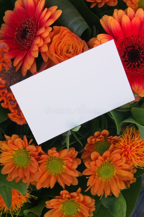 Flower message stock photo. Image of colours, decorate - 11289260