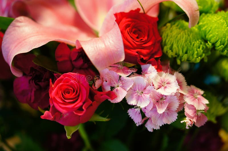 Flower mix stock image. Image of flower, bouquet, plant - 54788373