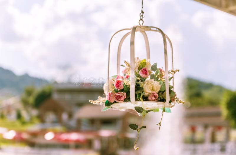 Flower mobile pot stock image. Image of celebration, bloom - 87926283