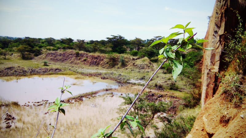 Flower Mountain Water Green Stock Image - Image of view, water: 123294229