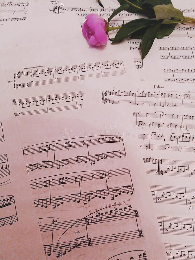 Flower on notes stock image. Image of note, retro, music - 88074847