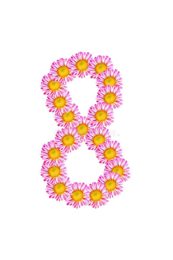 Flower with eight petals stock image. Image of eight - 157942247