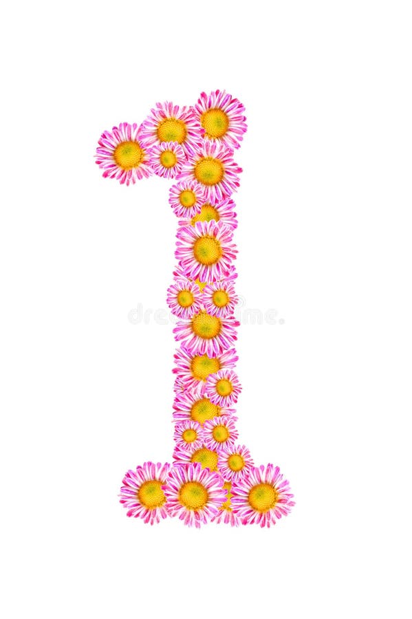 Flower number one stock image. Image of pink, typeset - 77959325